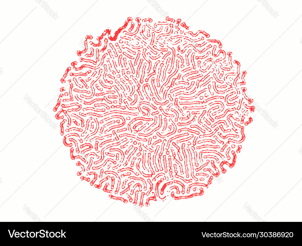 Bacteria Royalty Free Vector Image - VectorStock