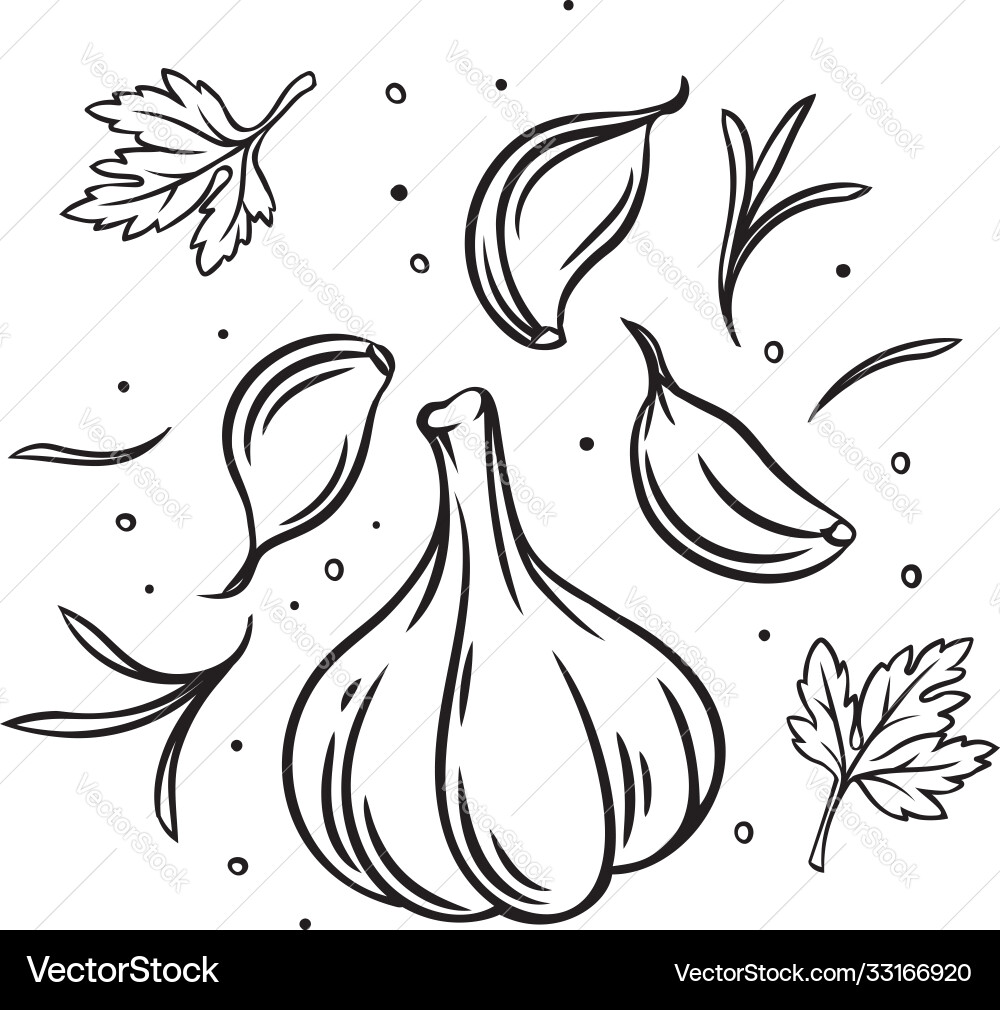 Falling garlic with herbs and spices Royalty Free Vector