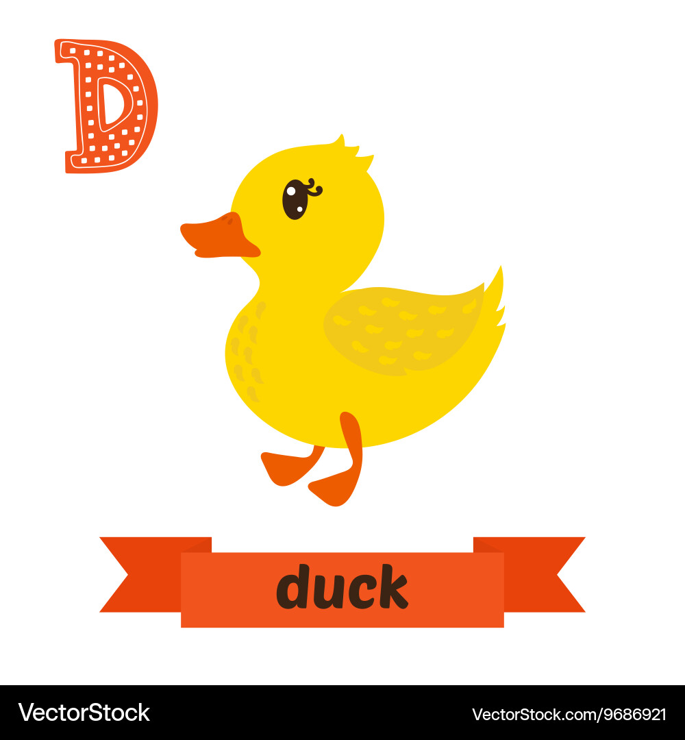 Duck d letter cute children animal alphabet Vector Image