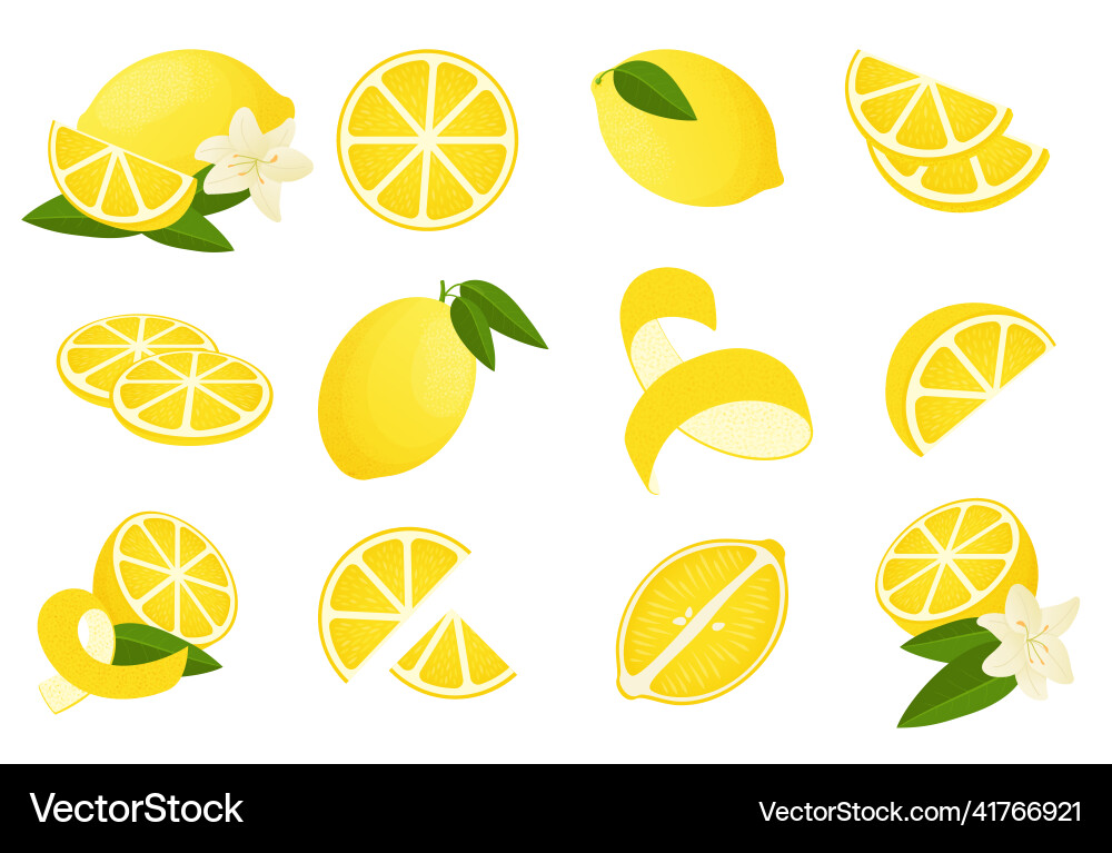 Lemon cartoon citrus peel slice half and zest Vector Image