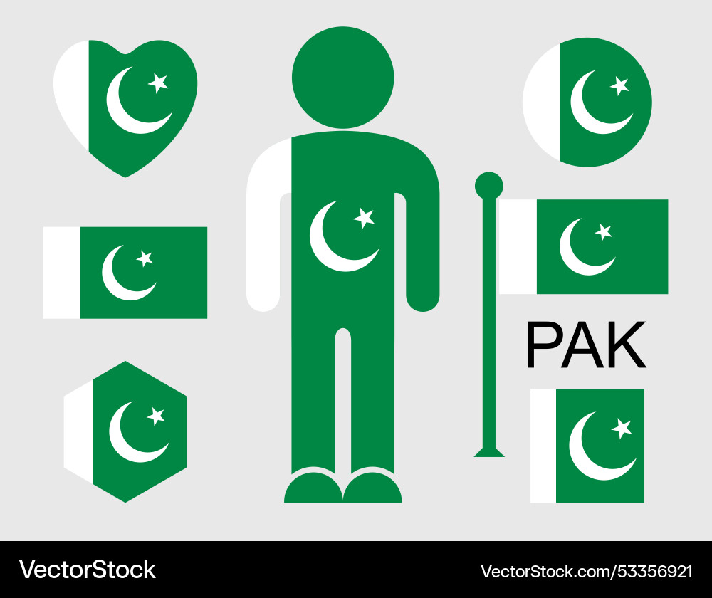 Pakistani flag Royalty Free Vector Image - VectorStock