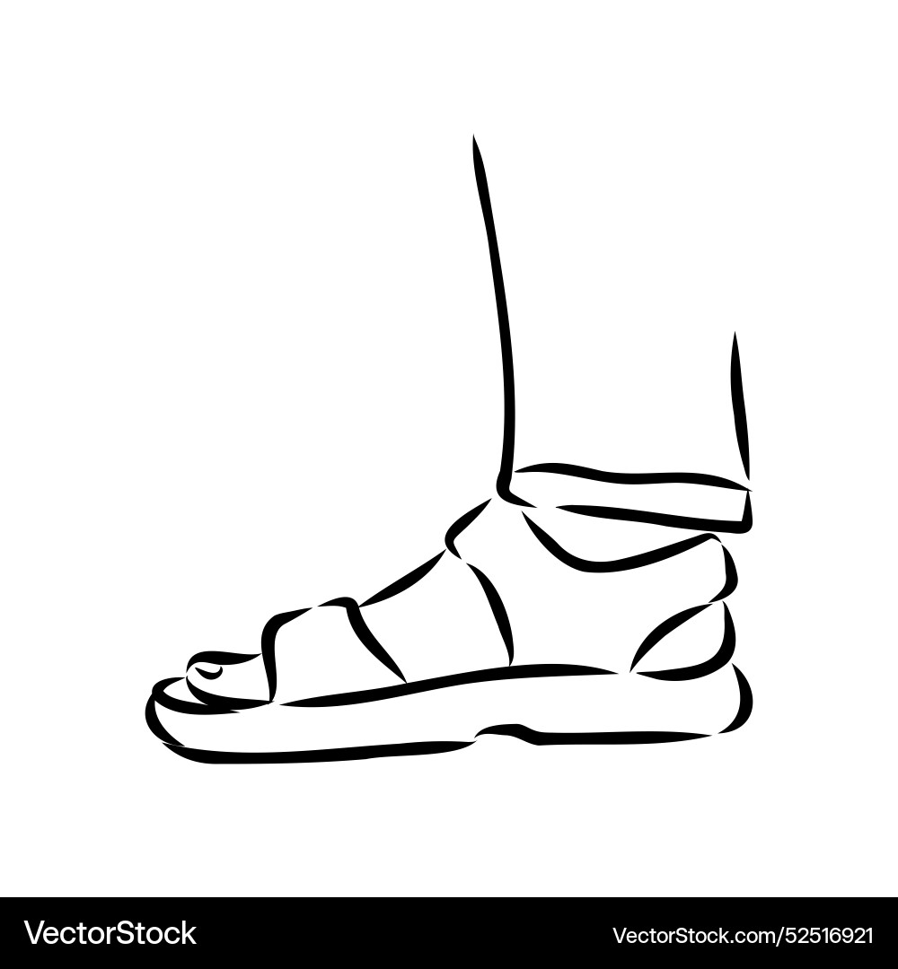 Strap sandal outline drawing Royalty Free Vector Image