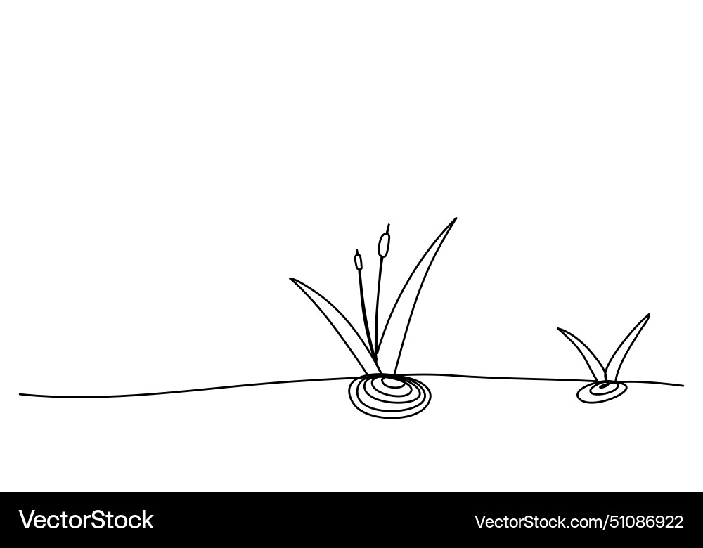 Reed or marsh hornwort one line drawing Royalty Free Vector