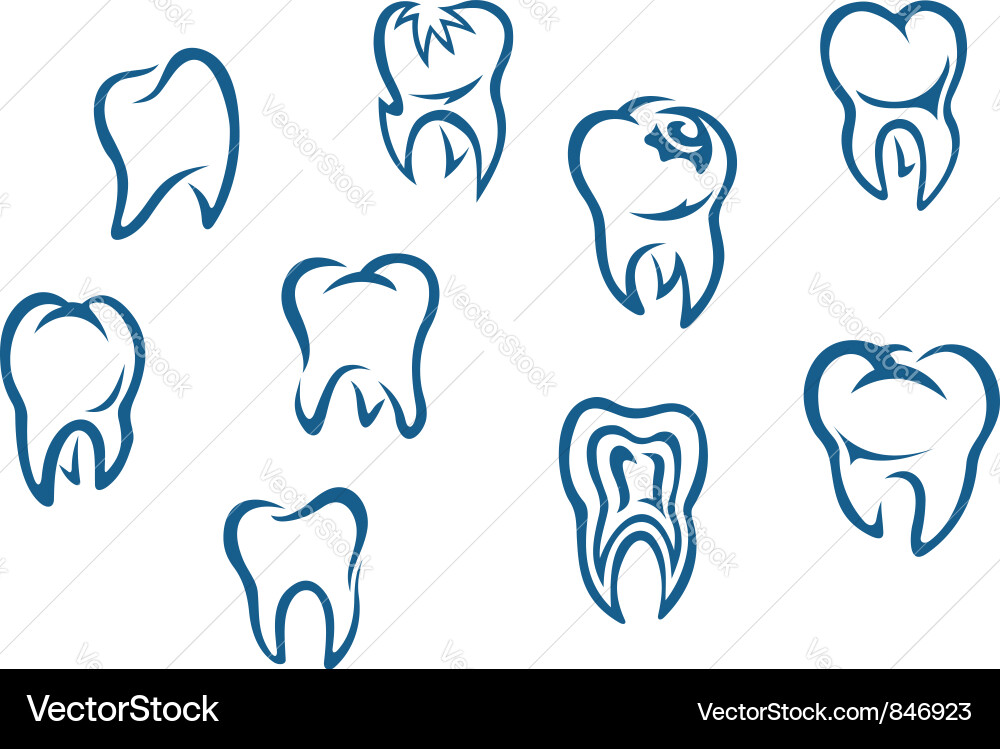 Protect Teeth Vector Images (over 17,000)