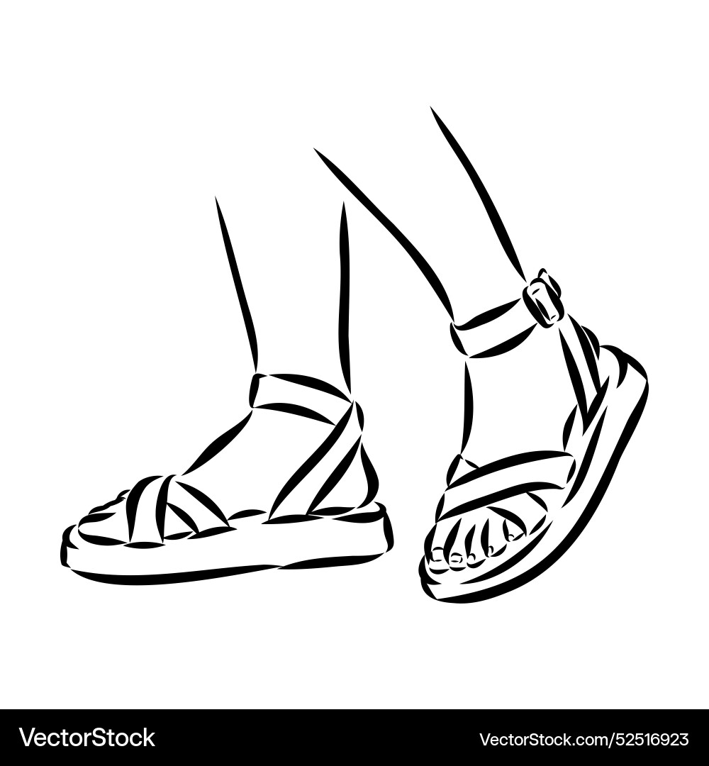 Strap sandal outline drawing Royalty Free Vector Image