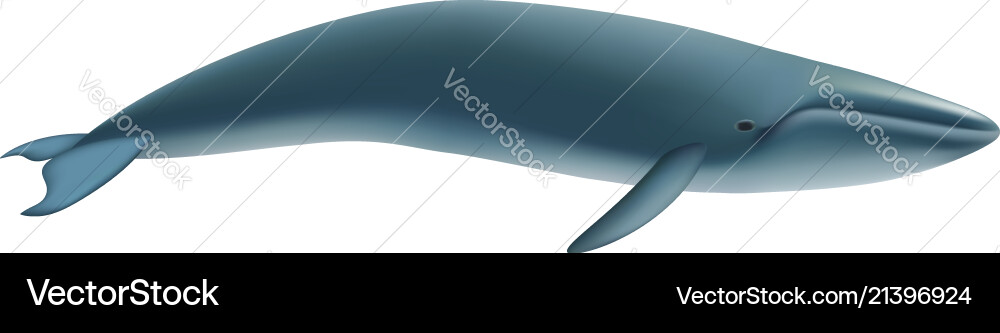 Blue whale mockup realistic style Royalty Free Vector Image