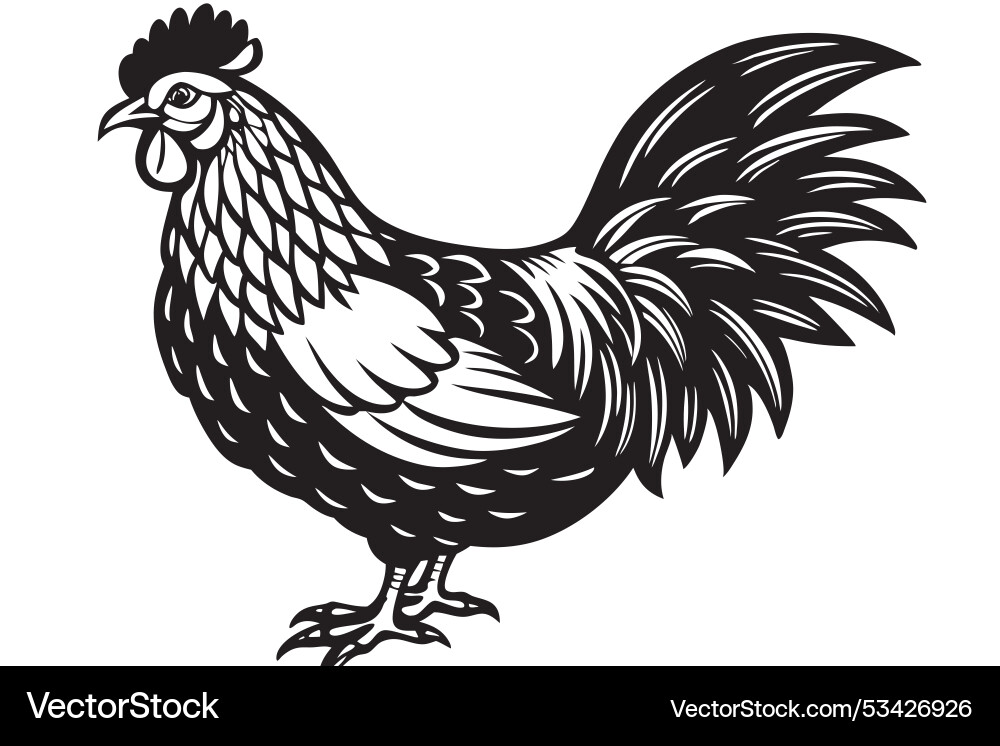 Bantam chicken silhouette Royalty Free Vector Image