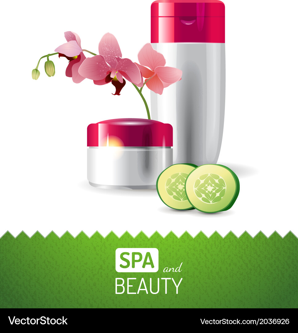 Spa and beauty Royalty Free Vector Image - VectorStock