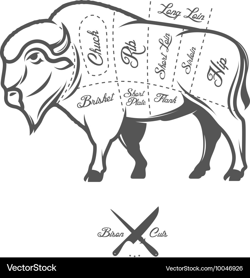 Vintage Bison Butchery Schnittdiagramm Lizenzfreier Vektor