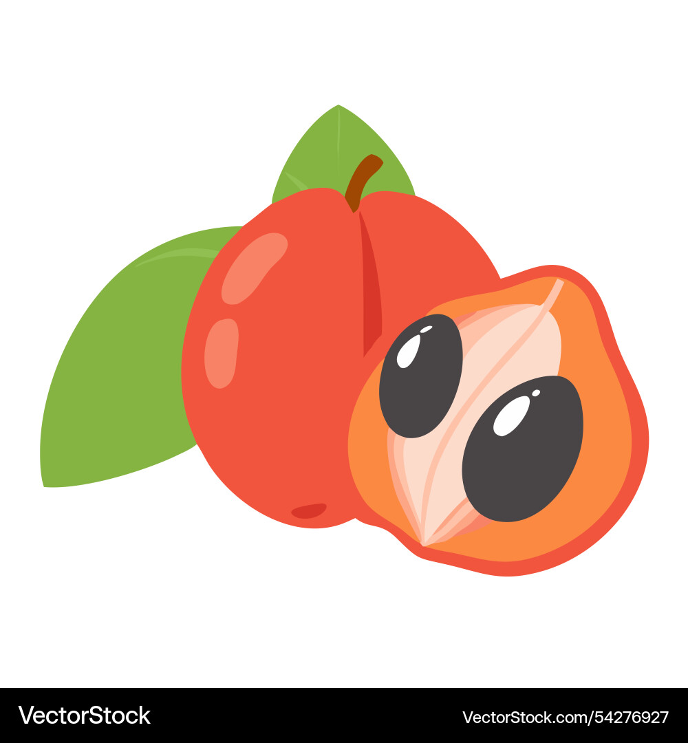 Ackee icon fruits Royalty Free Vector Image - VectorStock