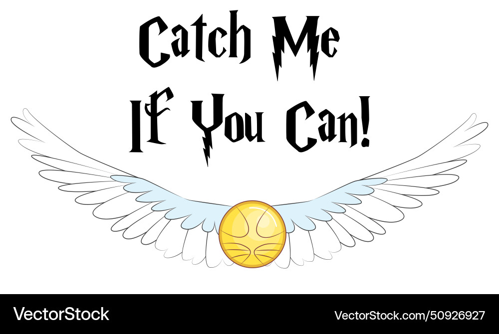 Magic school poster quote from a book about boy Vector Image