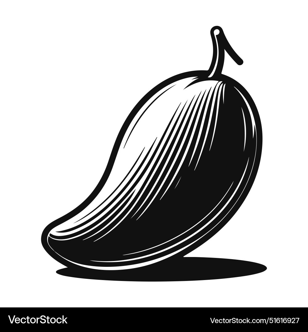 Modern minimalist mango silhouette Royalty Free Vector Image