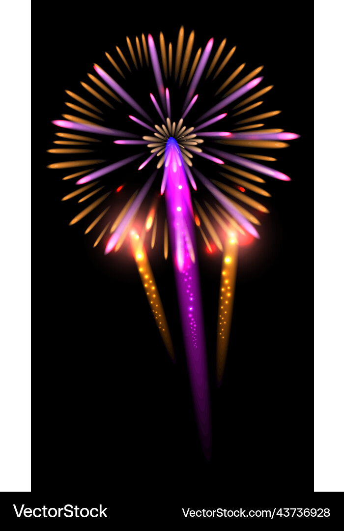 Sparkling light burst show realistic sky firework Vector Image