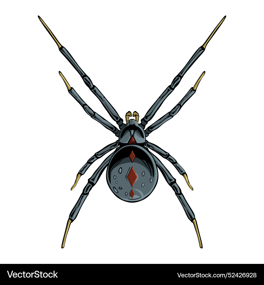 Spider dark concept Royalty Free Vector Image - VectorStock