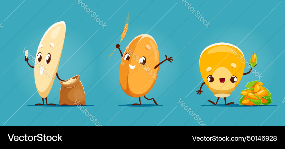 Wheat rice and corn grain cartoon characters Vector Image