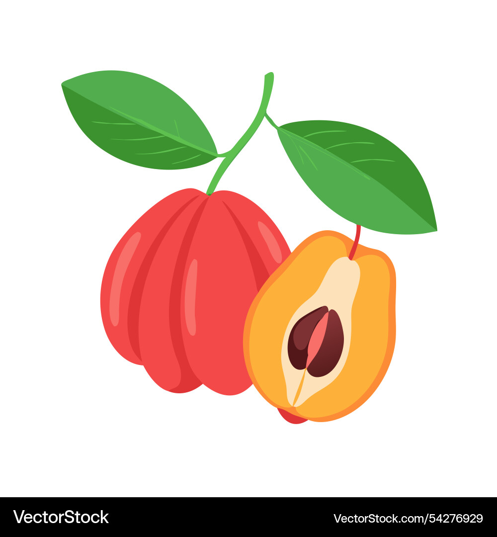 Ackee icon fruits Royalty Free Vector Image - VectorStock