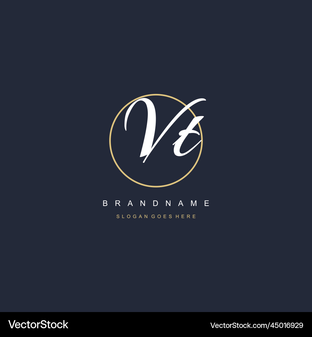 Initial letter vt logo monogram feminine style Vector Image
