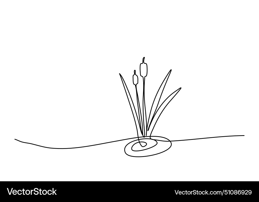 Reed or marsh hornwort one line drawing Royalty Free Vector