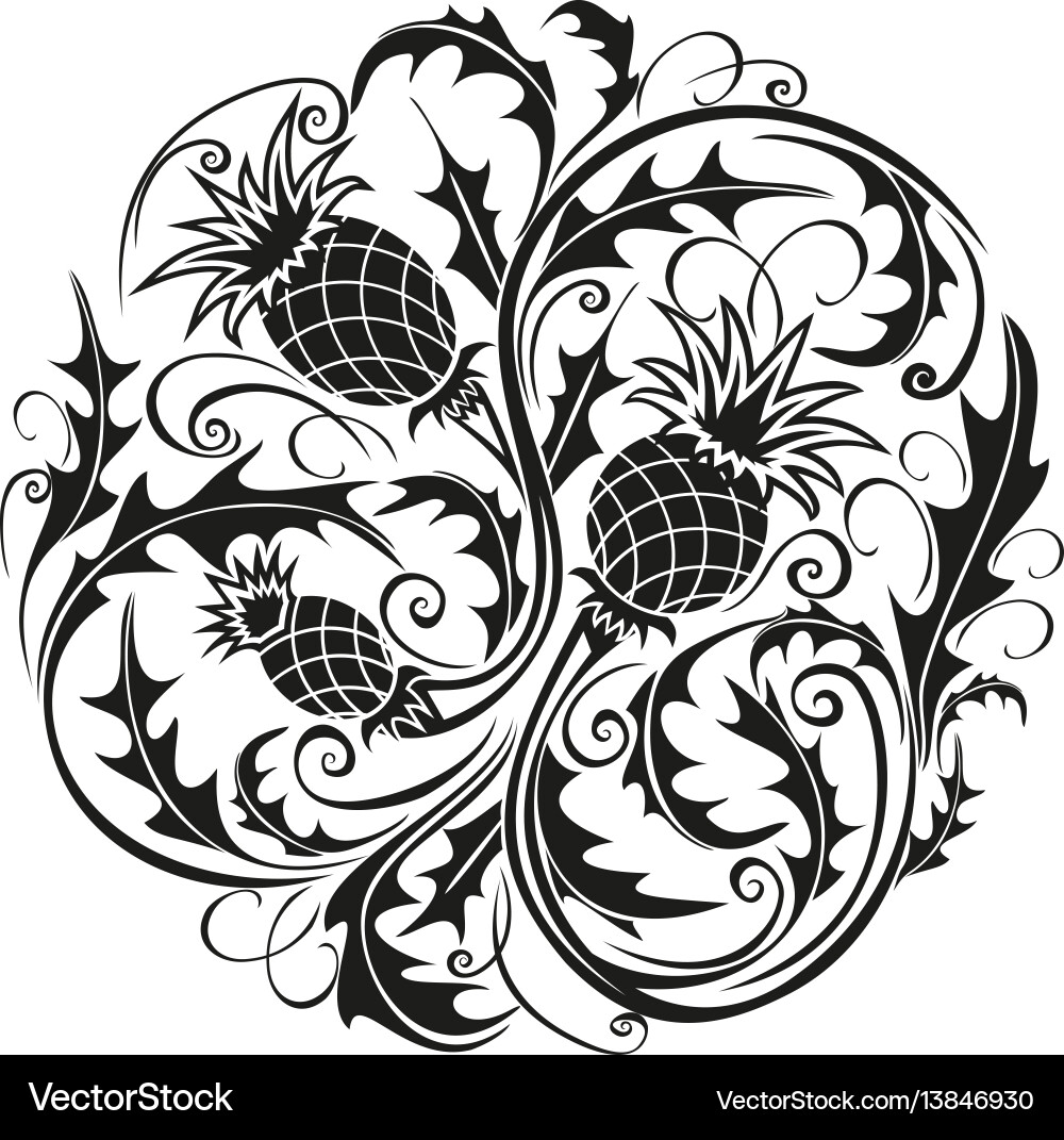 Black and white stylized image of a thistle Vector Image