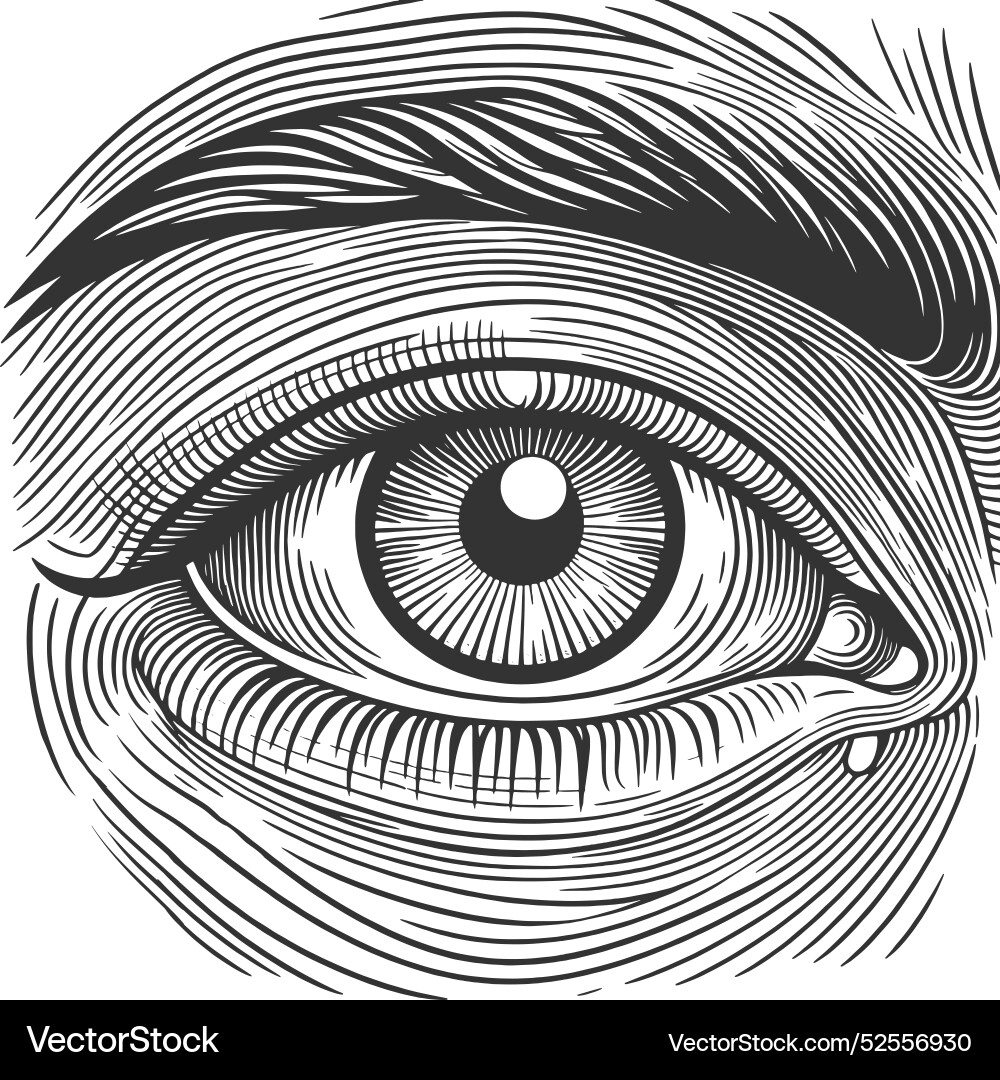 Eye engraving sketch Royalty Free Vector Image