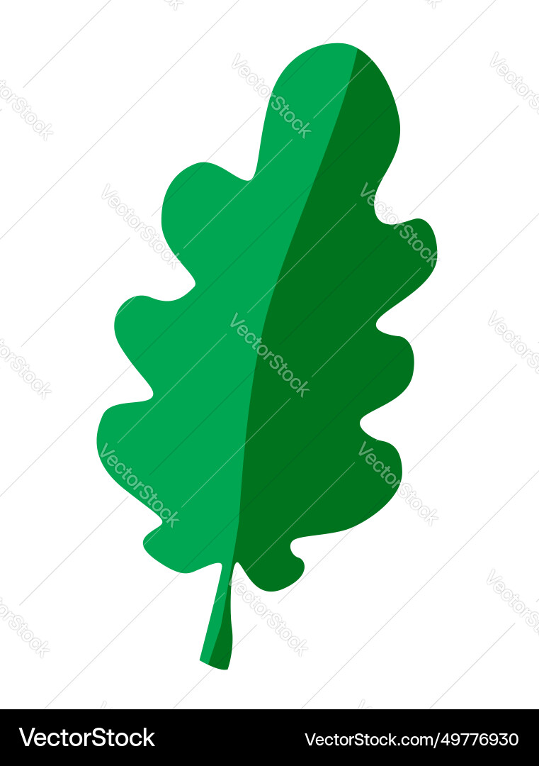 Oak leaf stylized drawing Royalty Free Vector Image