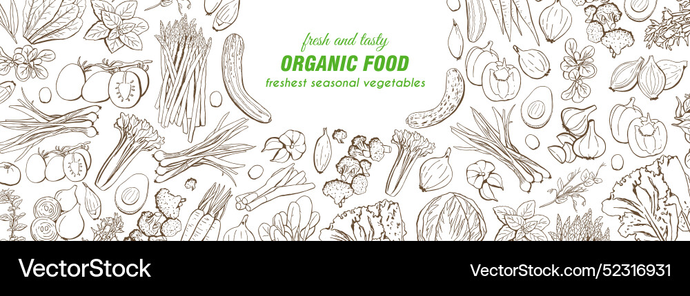 Organic vegetables food frame Royalty Free Vector Image