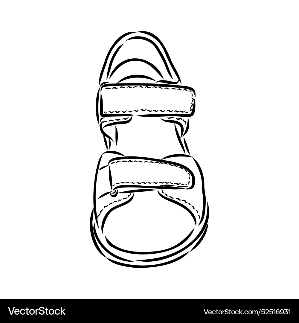 Strap sandal outline drawing Royalty Free Vector Image