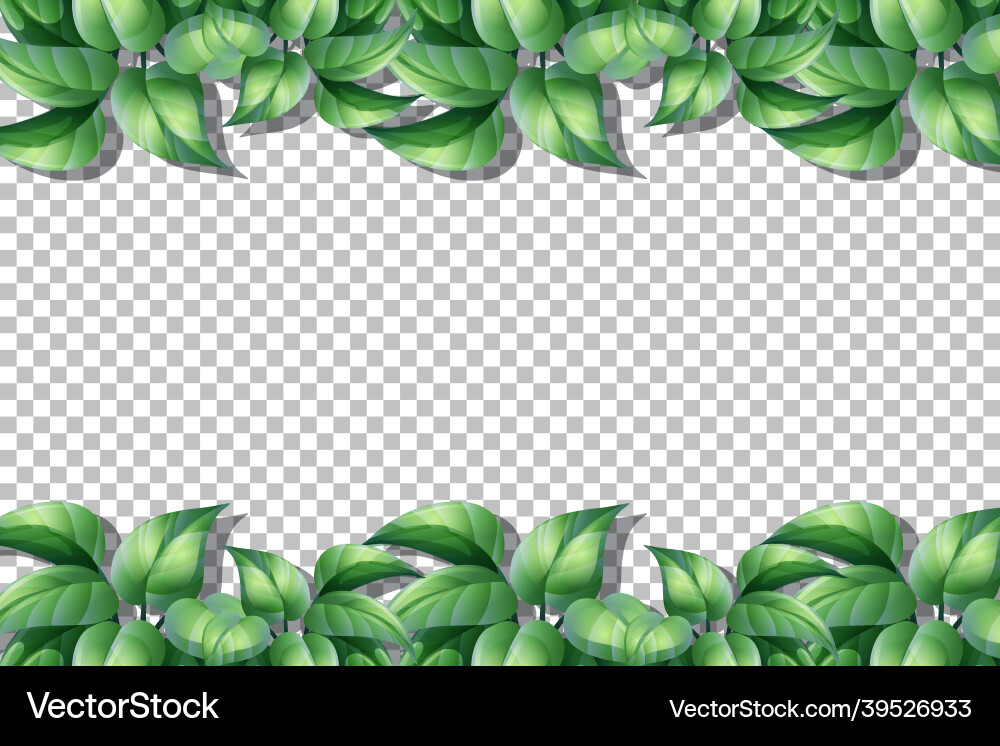 Nature plants frame transparent background Vector Image