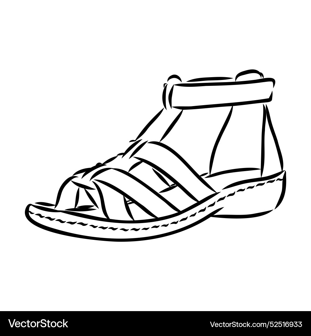 Strap sandal outline drawing Royalty Free Vector Image