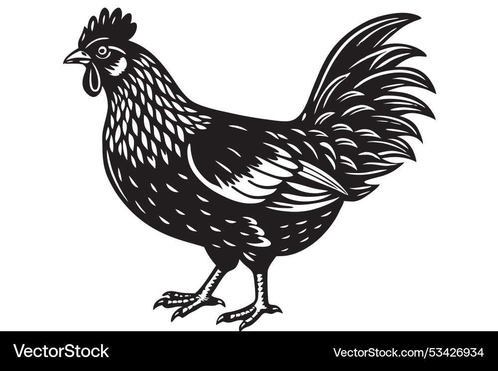 Bantam chicken silhouette Royalty Free Vector Image