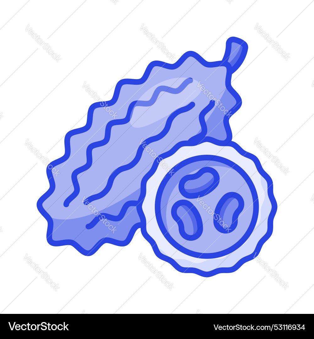 Bitter gourd Royalty Free Vector Image - VectorStock