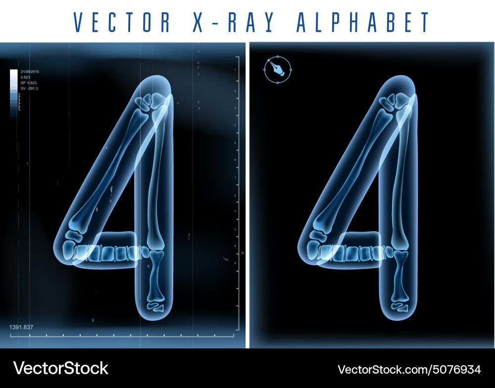 Blue 3d x ray style alphabet Royalty Free Vector Image