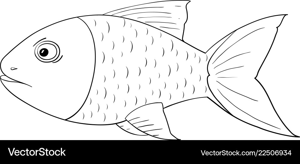 Fish outline drawing Royalty Free Vector Image