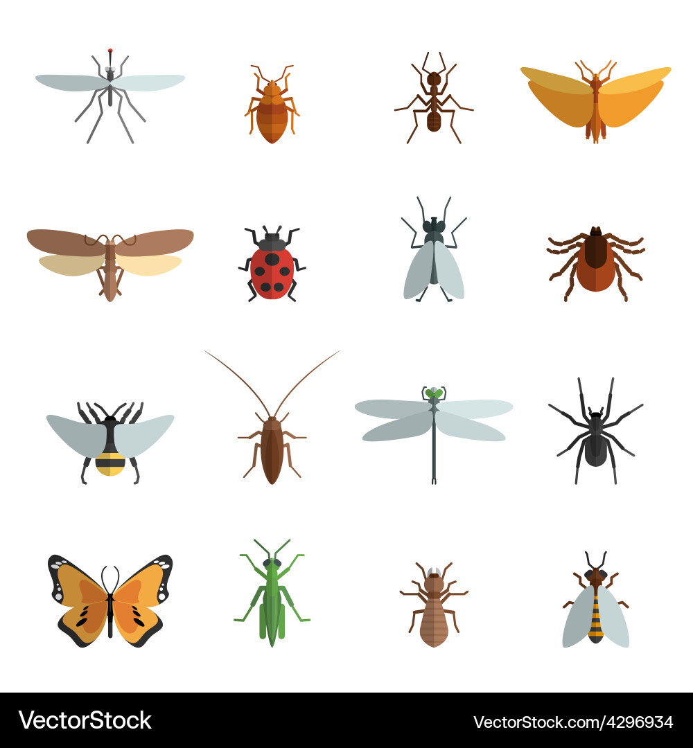 Insect Icon Set - Diverse Bug Collection Vector Image