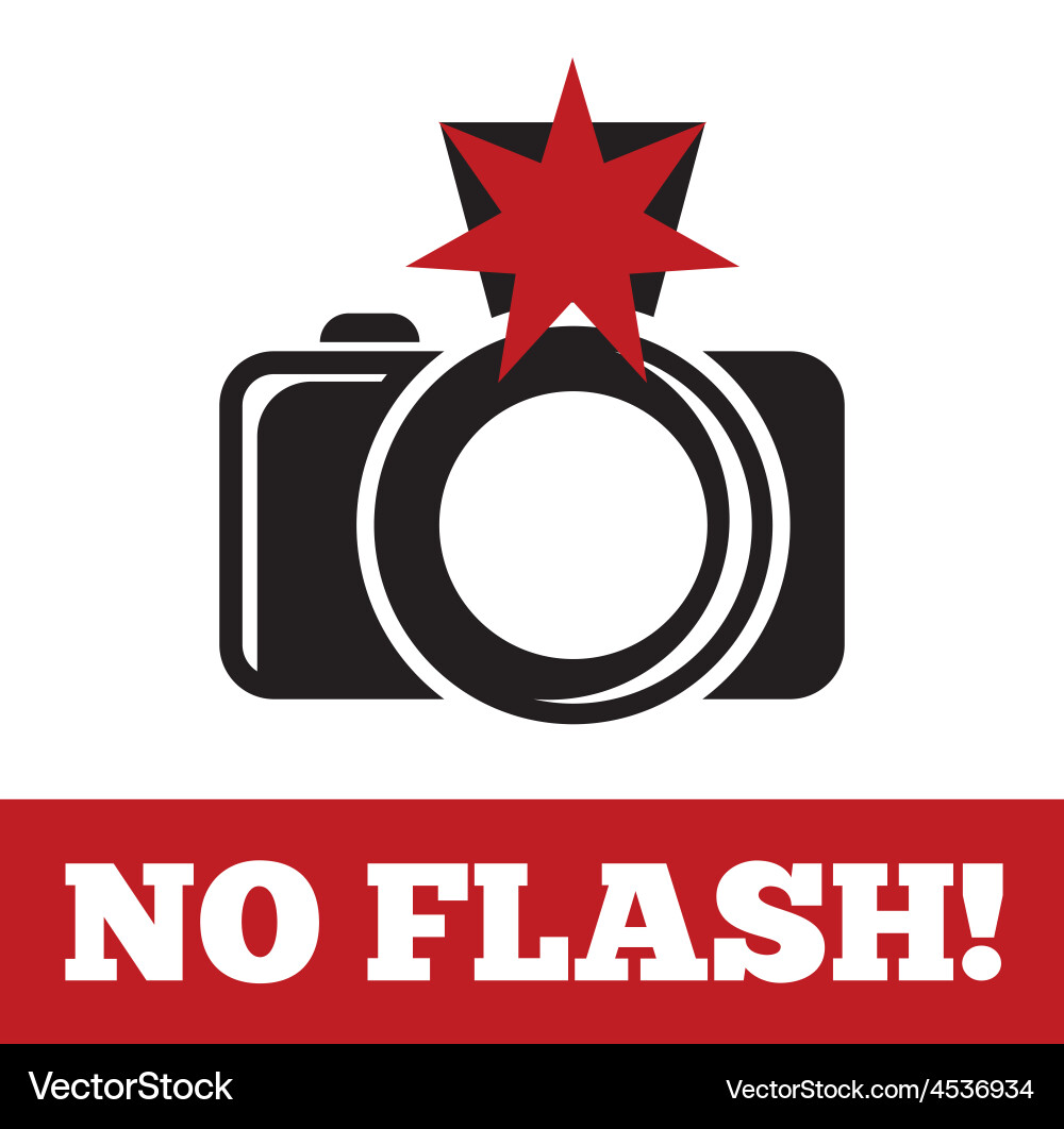 Noflash1 resize Royalty Free Vector Image - VectorStock