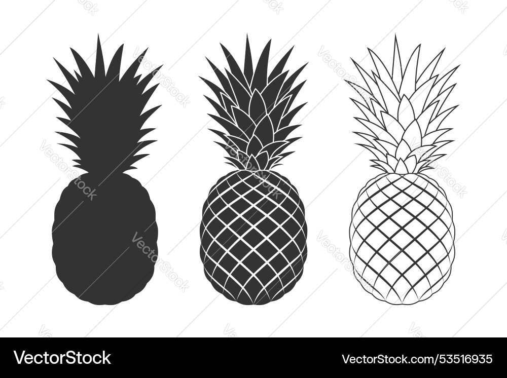 Pineapple icons set Royalty Free Vector Image - VectorStock