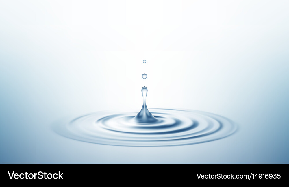 Realistic transparent drop and circle ripples Vector Image