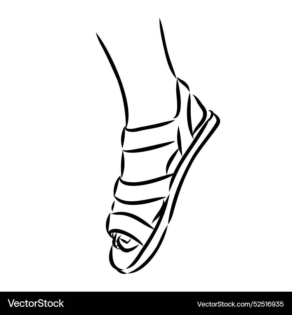 Strap sandal outline drawing Royalty Free Vector Image