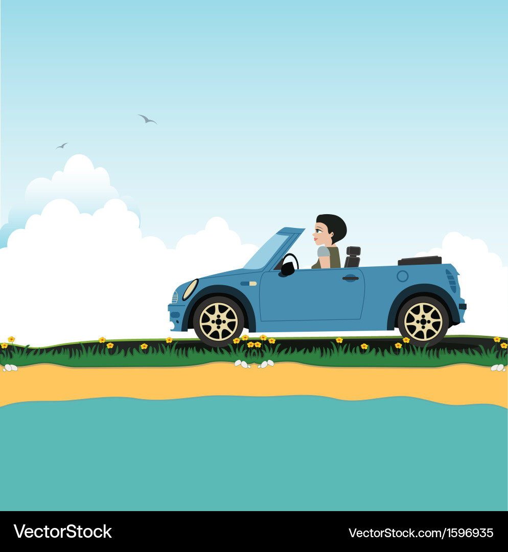 Women driving Royalty Free Vector Image - VectorStock