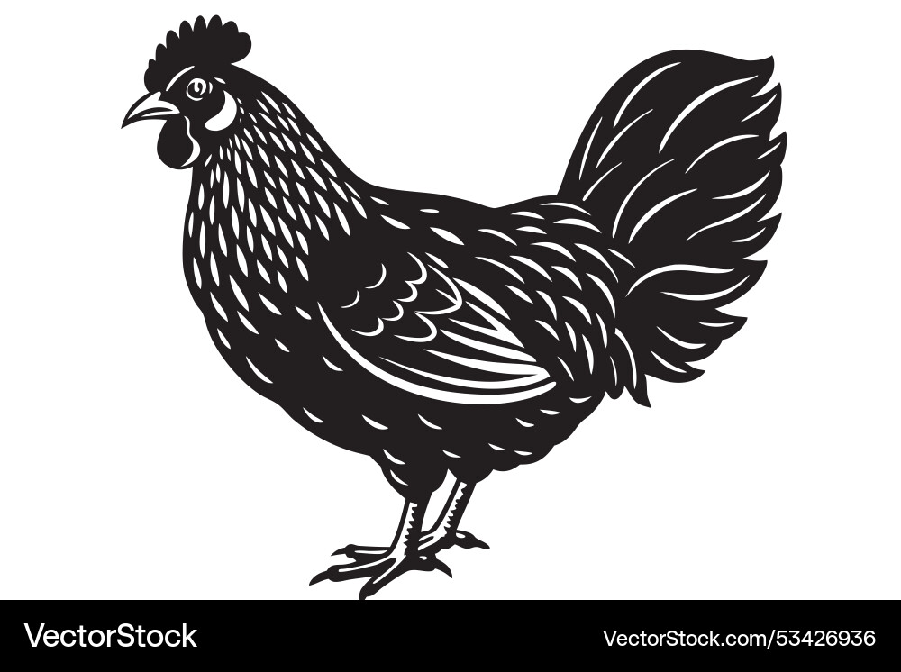 Bantam chicken silhouette Royalty Free Vector Image