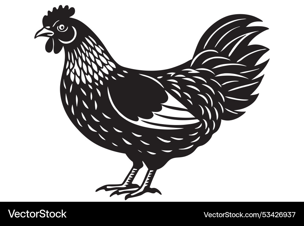 Bantam chicken silhouette Royalty Free Vector Image
