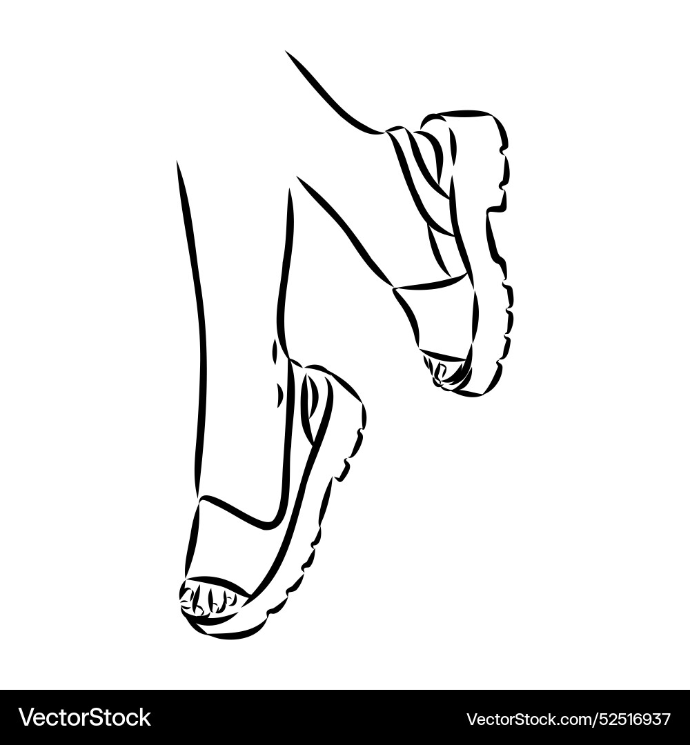 Strap sandal outline drawing Royalty Free Vector Image