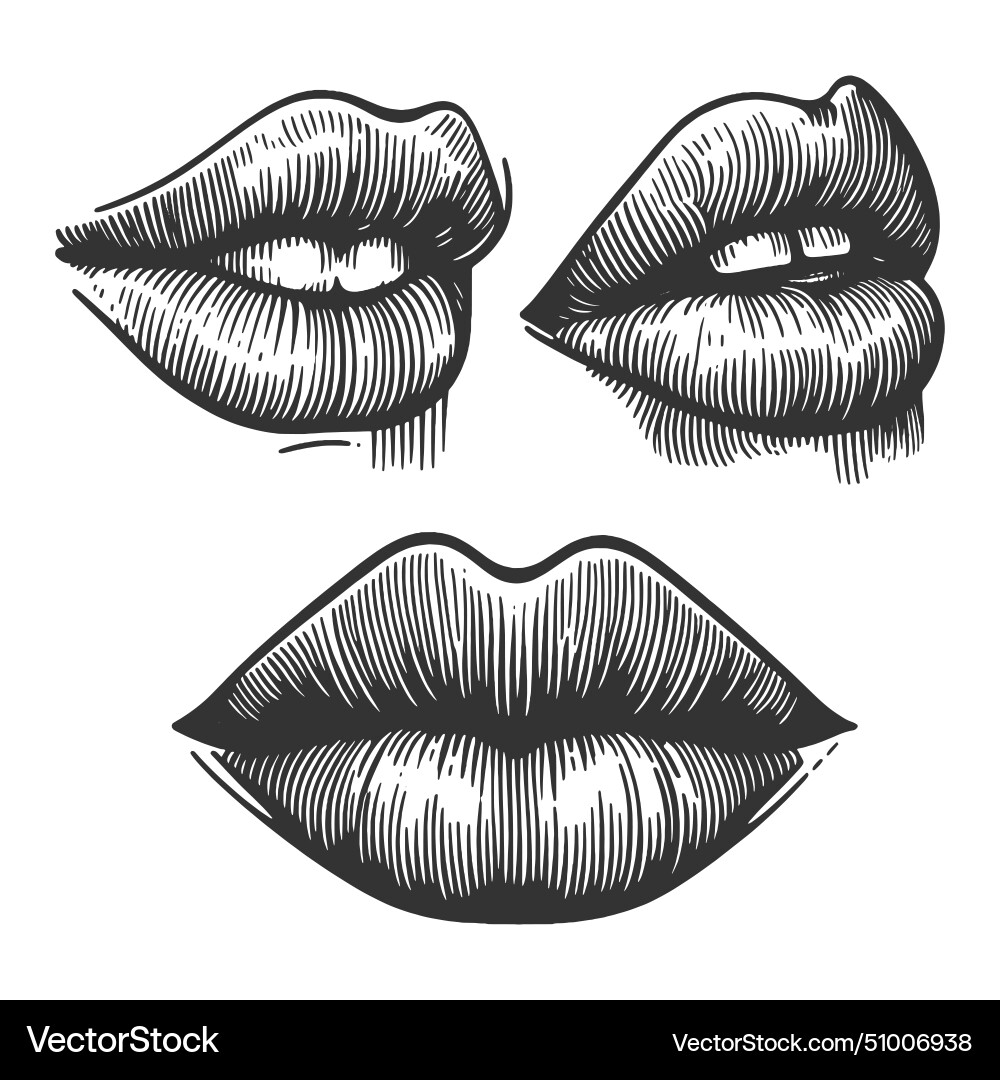 Sensual Lips Engraving Sketch Royalty Free Vector Image