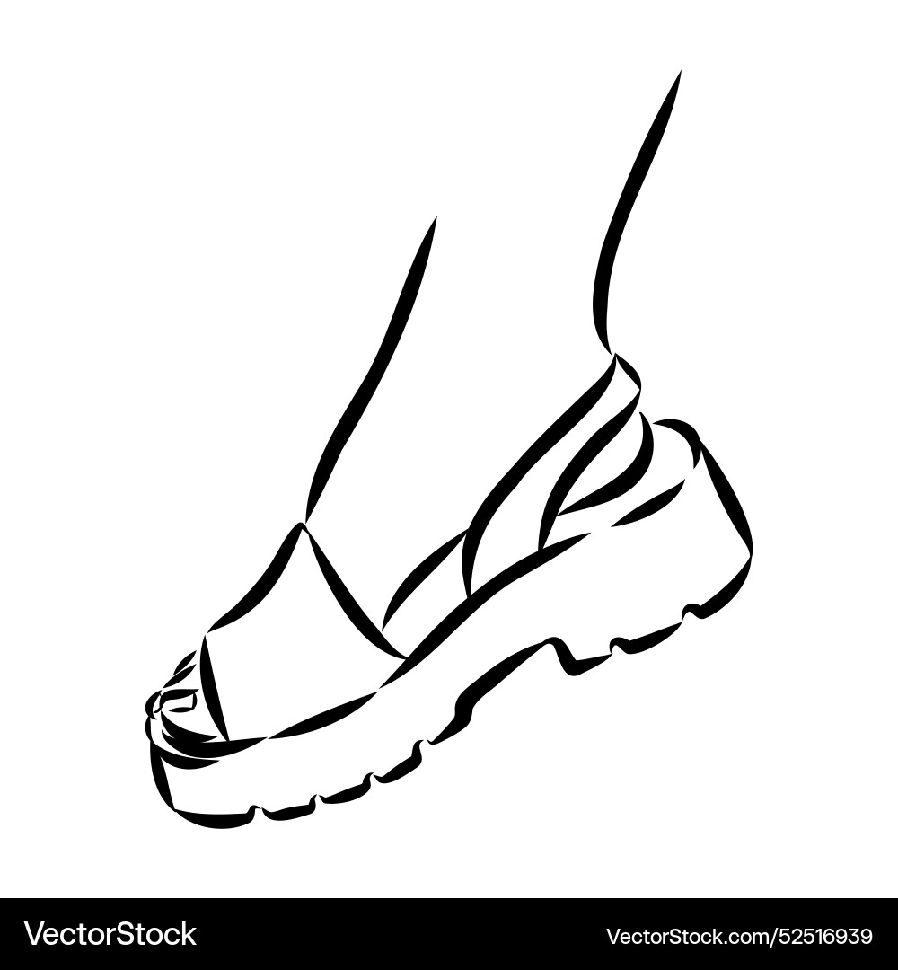 Strap sandal outline drawing Royalty Free Vector Image