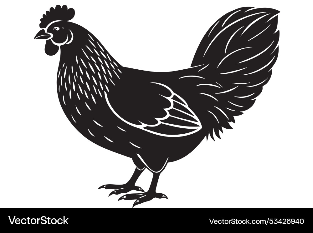 Bantam chicken silhouette Royalty Free Vector Image