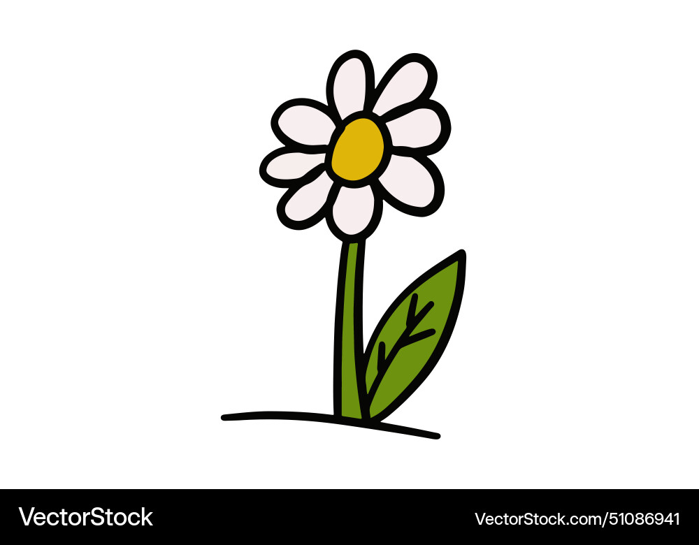 Doodle of a flower Royalty Free Vector Image - VectorStock