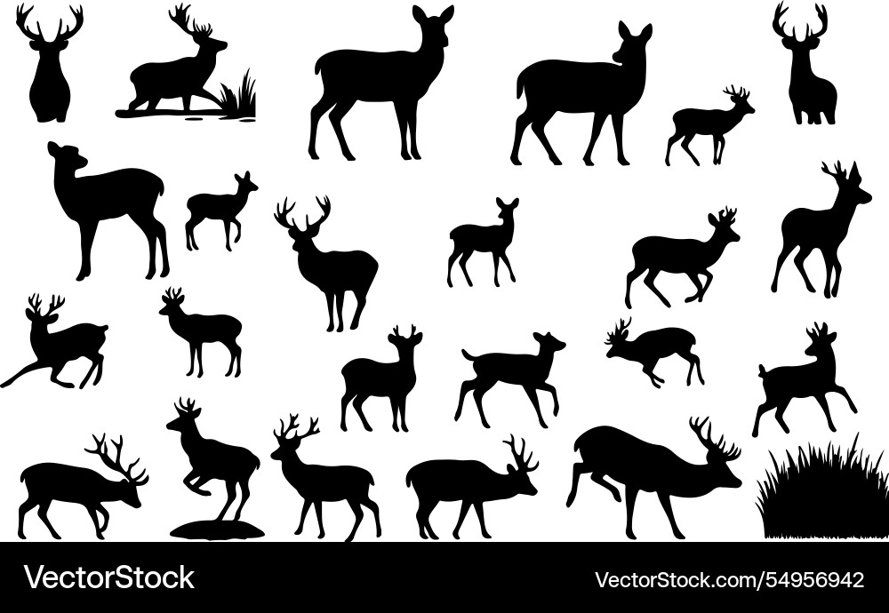 Deer Royalty Free Vector Image - VectorStock