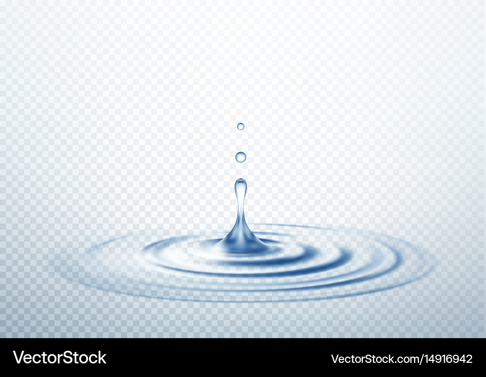 Realistic transparent drop and circle ripples Vector Image