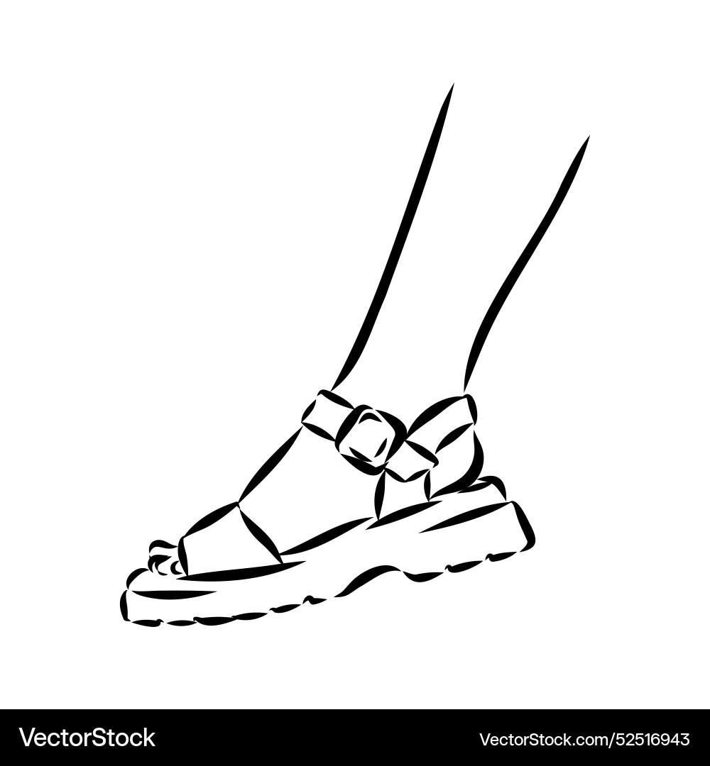 Strap sandal outline drawing Royalty Free Vector Image