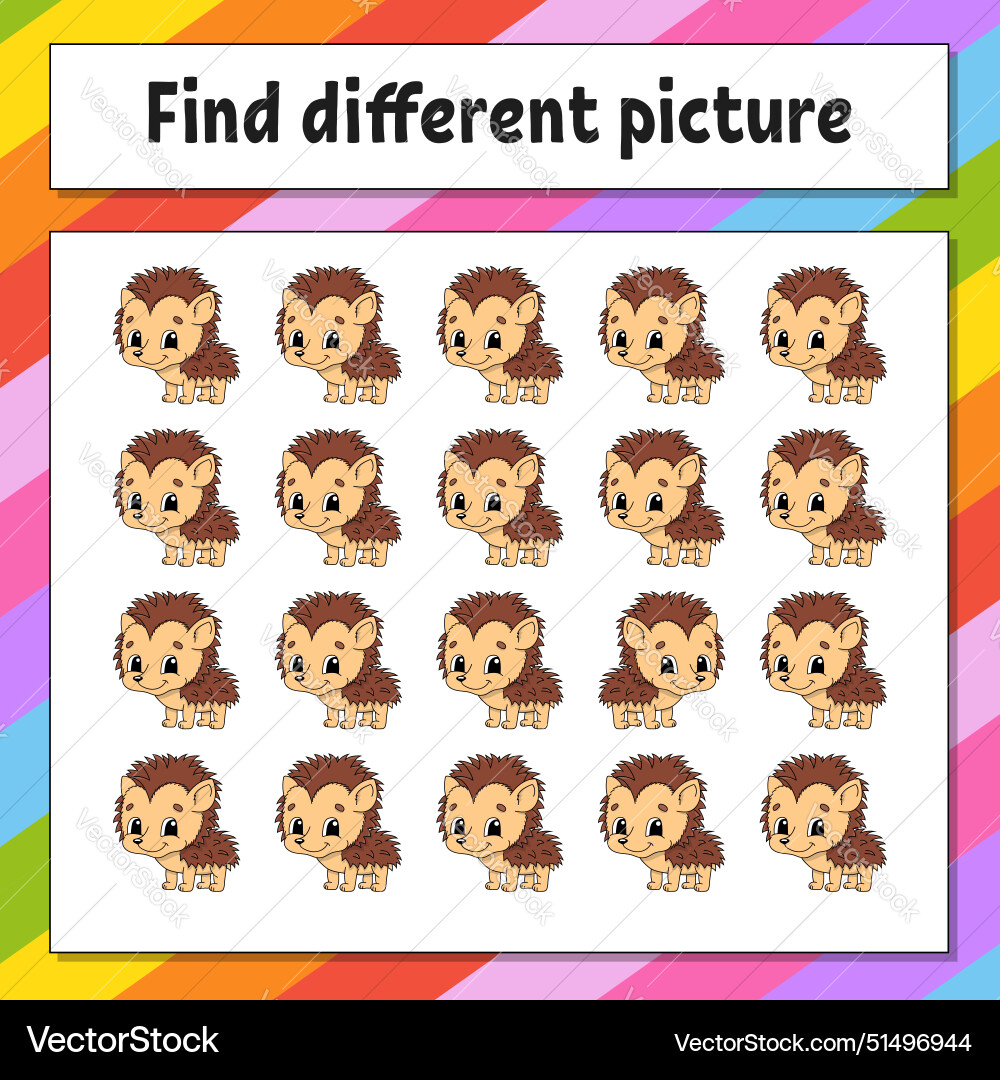 Find different picture educational activity Vector Image
